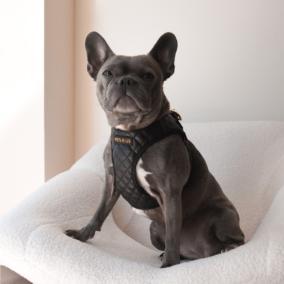 PETs R US | Dog | Pets R Us Black Gold Step In Vest Dog Harness Quilted ...
